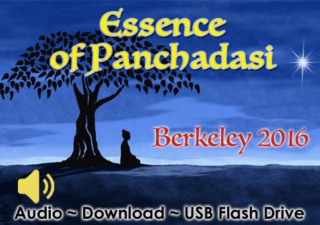 Essence of Panchadasi Berkeley 2016 – MP3 AUDIO – Shining World